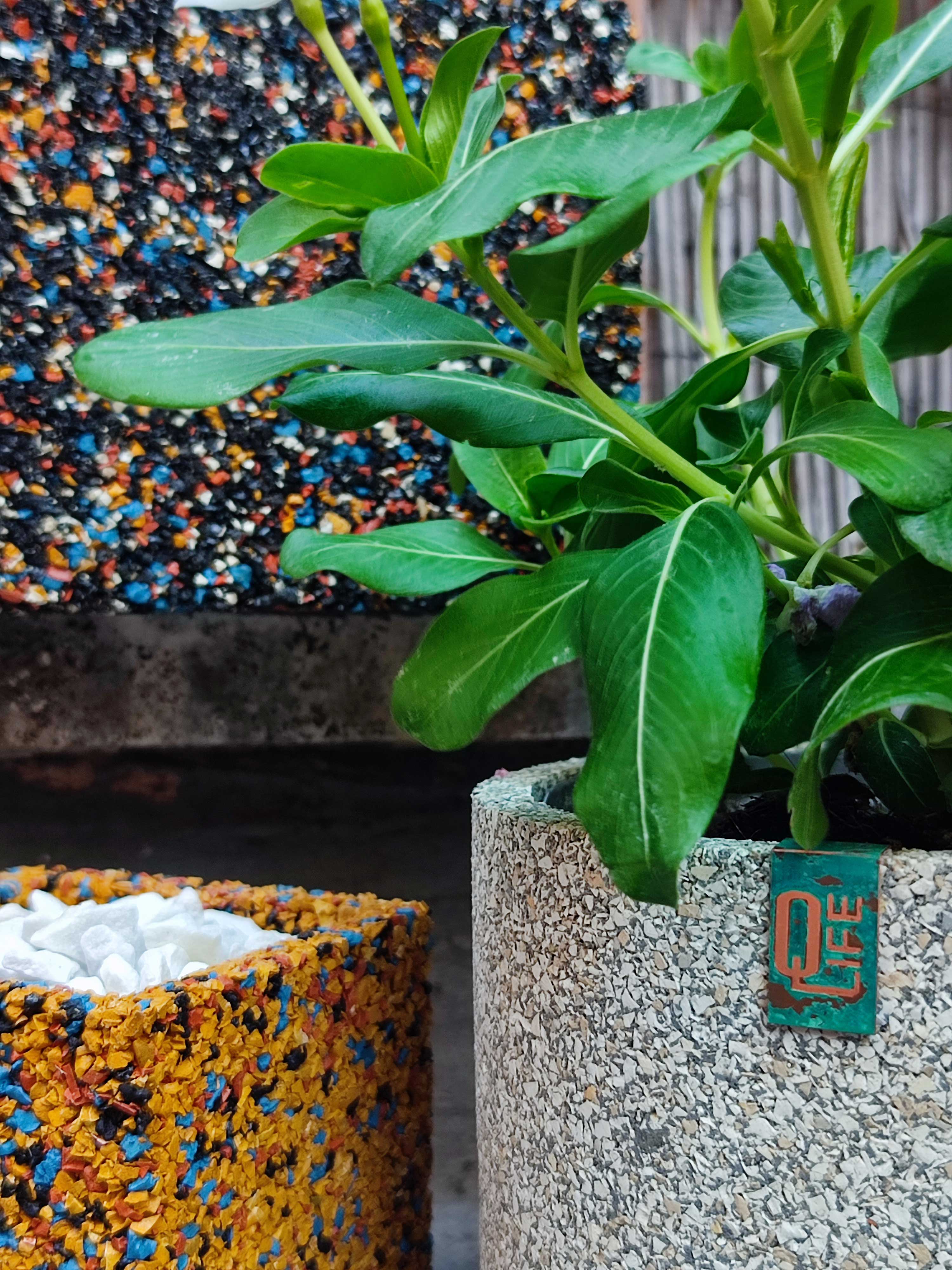 Vasi Riciclati da Pneumatici per Piante da Giardino e Interni – Qiru Life